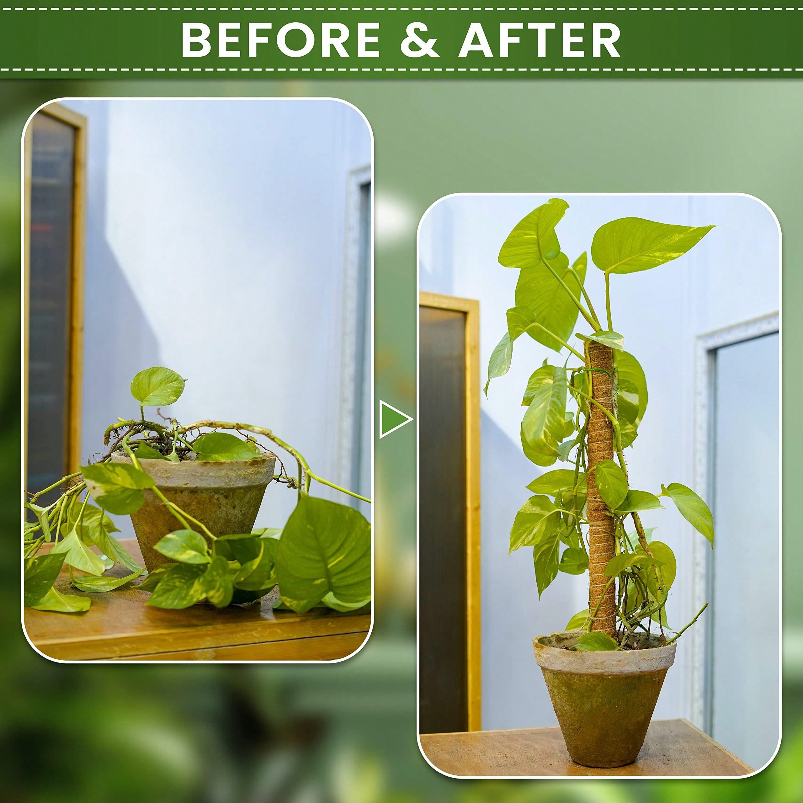 1pc,11/15/19in Moss Pole Plants Stakes Handmade Support Garden Plant ...