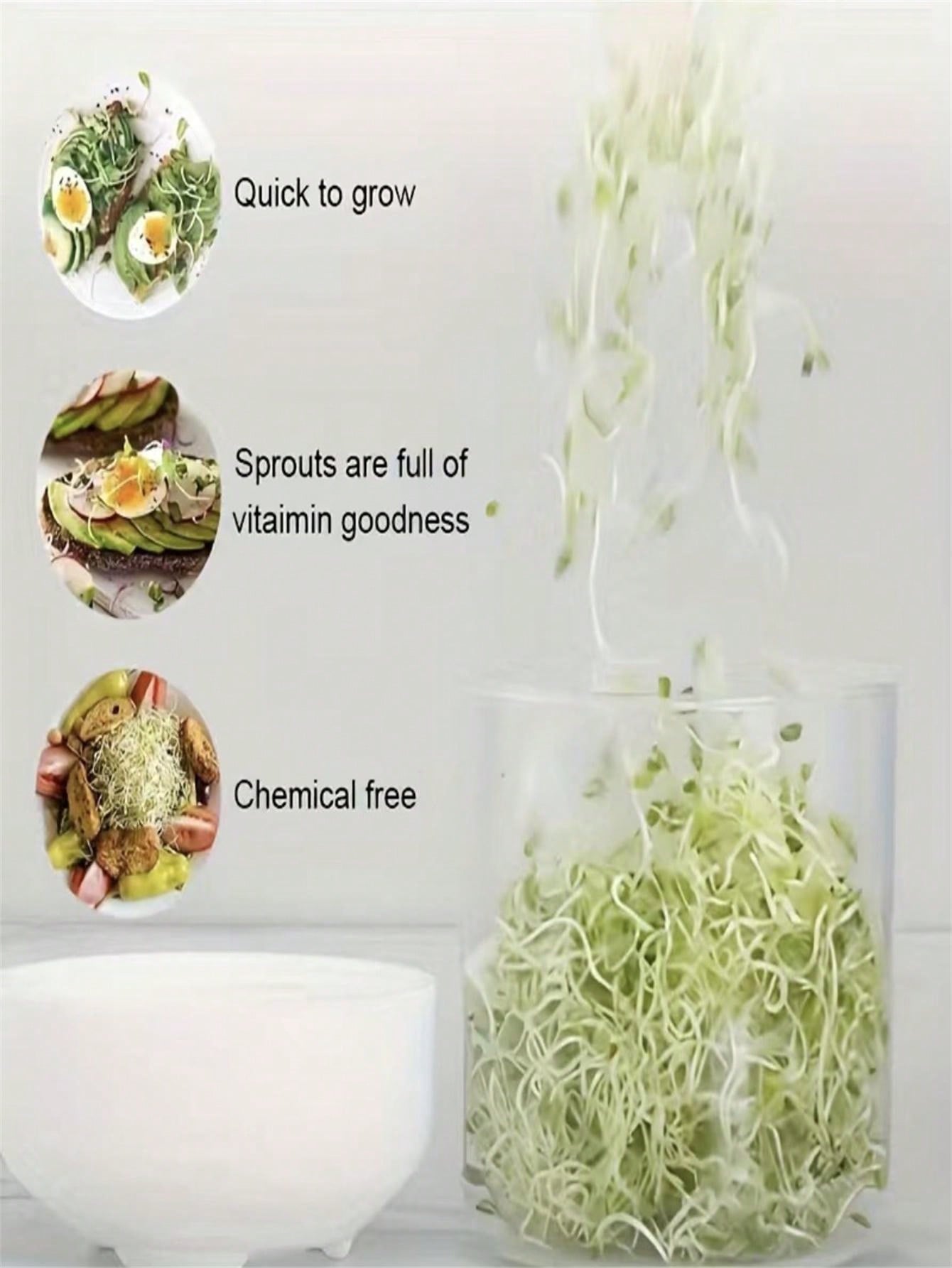 Countertop Sprouting Machine Growing Kit Homemade Fresh Bean Sprouts ...