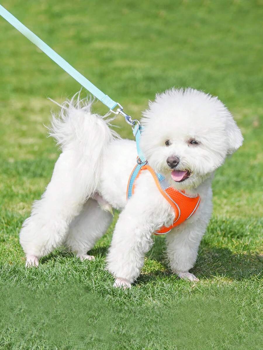 1set Pet Walking Traction Rope With Splice Chest & Back Strap For ...