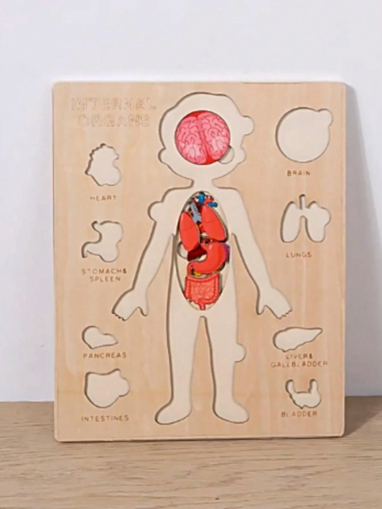 1 Pc Jigsaw Puzzle Of Human Structure Human Parts Toy Organ Model Toy ...