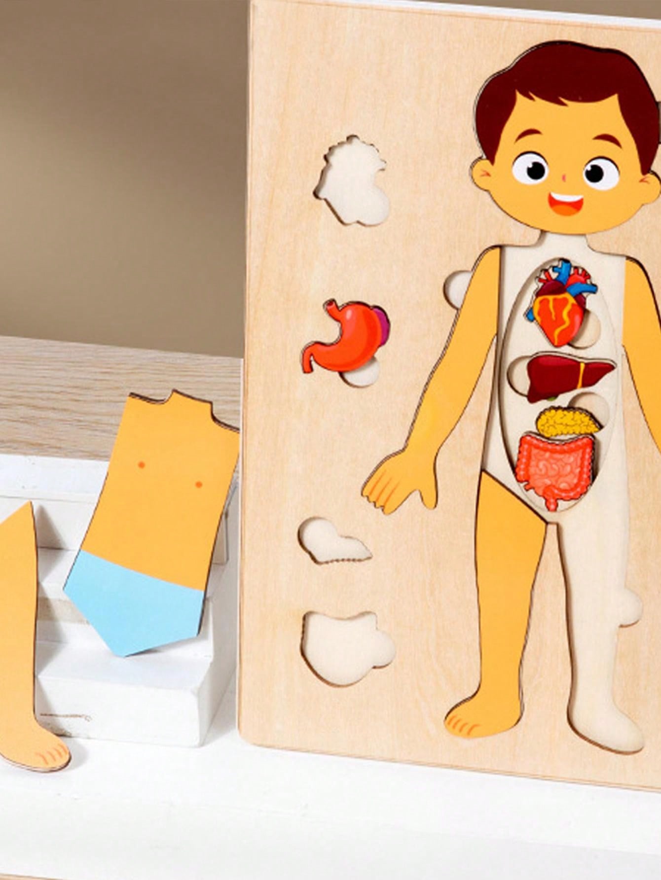 1 Set Jigsaw Puzzle Of Human Structure Human Parts Toy Organ Model Toy ...