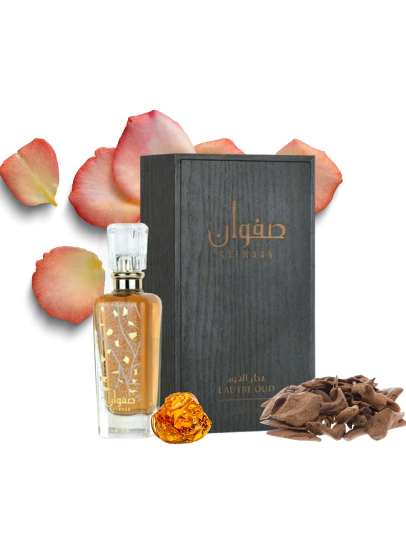 Perfume And Fragrances | SHEIN USA