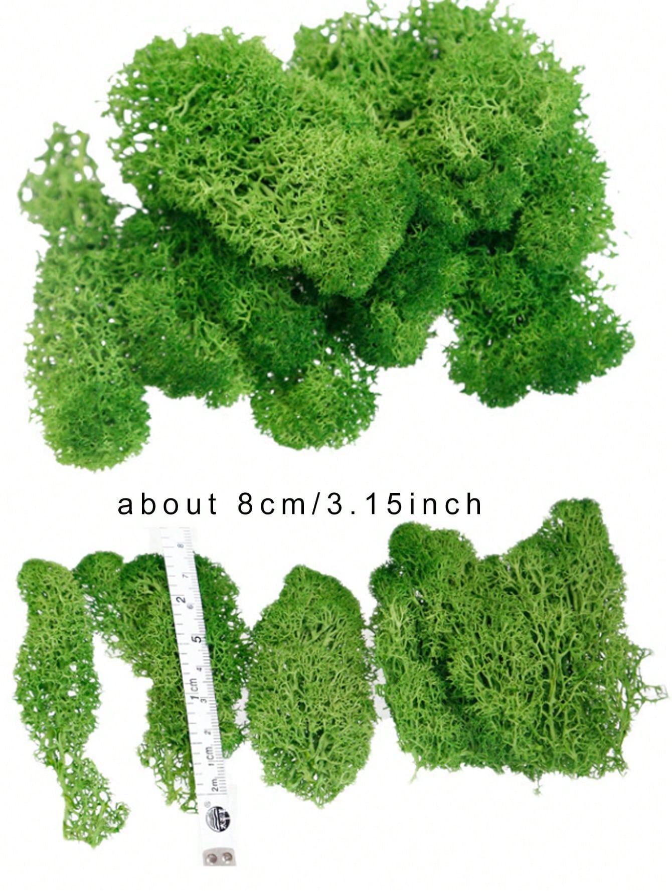 10/20g Mousse Artificielle/fausse Mousse, Mise En Page De Micro-paysage ...