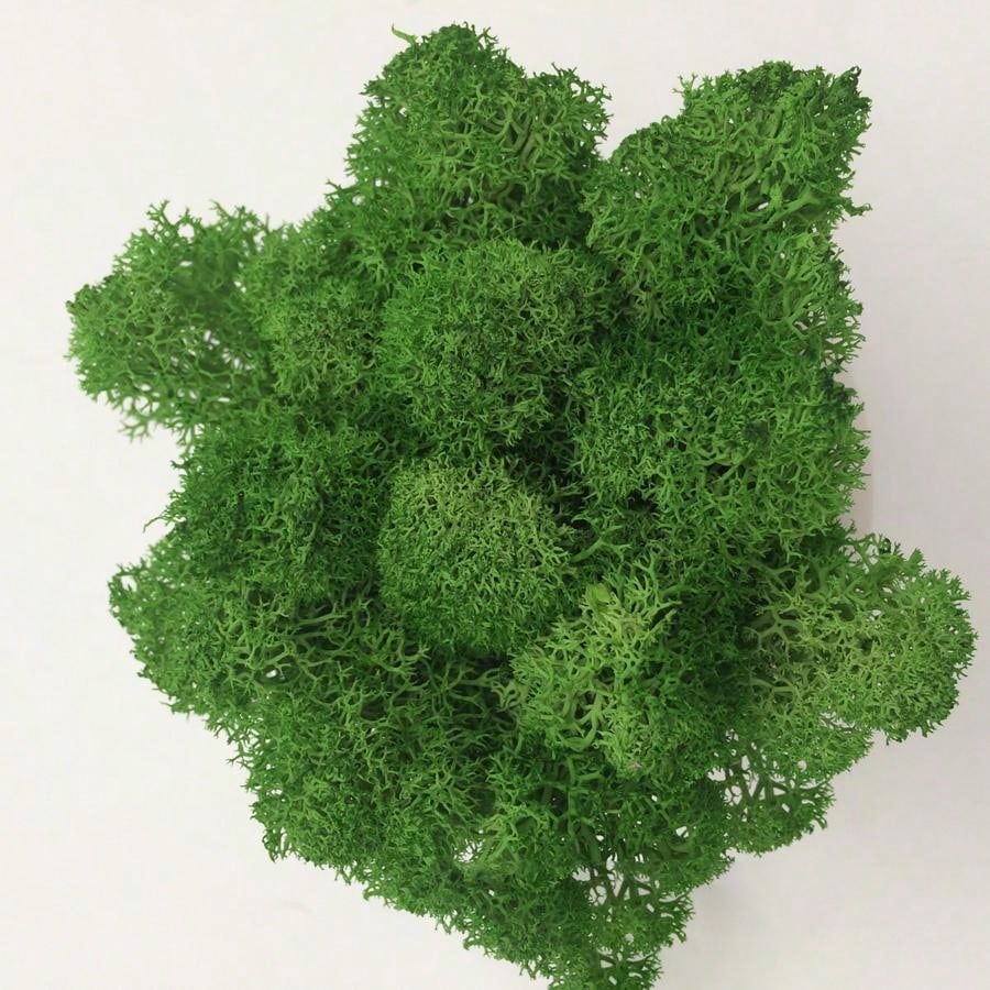 Lichen Moss Cluster For Bushes,Model Trees Foliage Scale Model Building ...