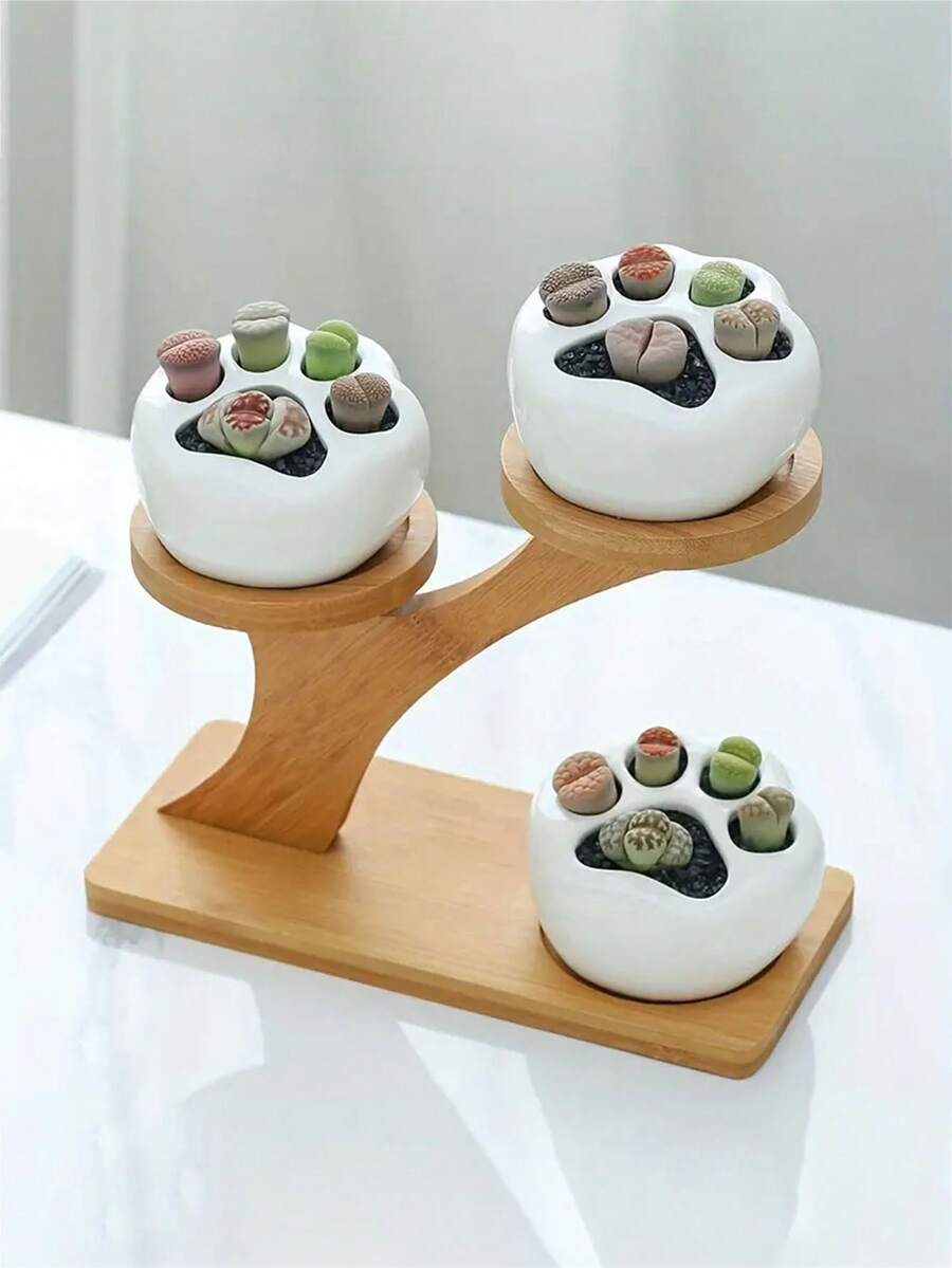 1pc Desktop Creative Display Stand With Mini Planter And Bamboo Rack ...