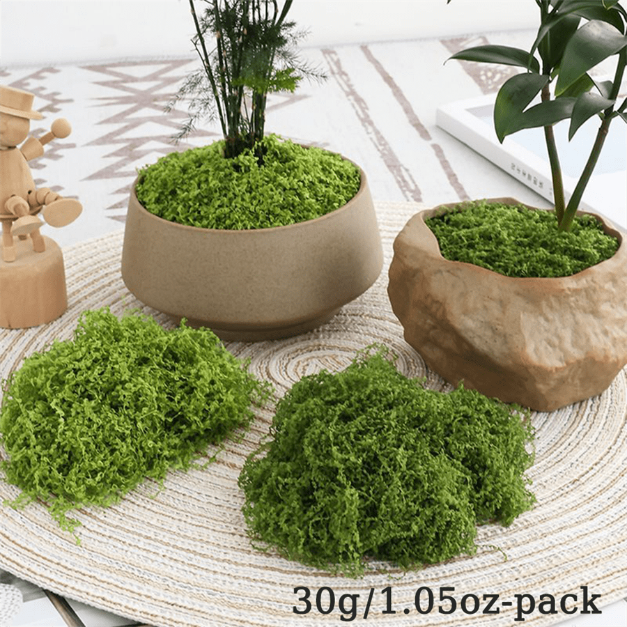 1pack Artificial Fake Moss, 1.05 OZ DIY Simulation Moss Grass Micro ...