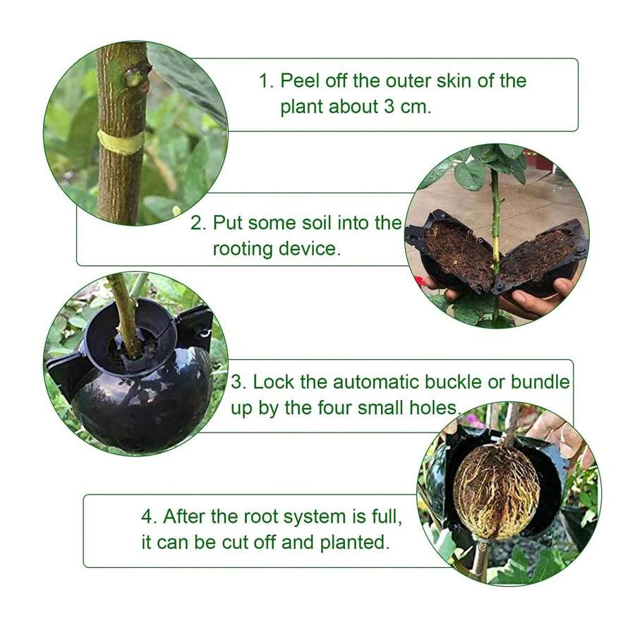 20pcs Tree Root Growing Box, Rooting Ball Grafting Tools, High Pressure ...