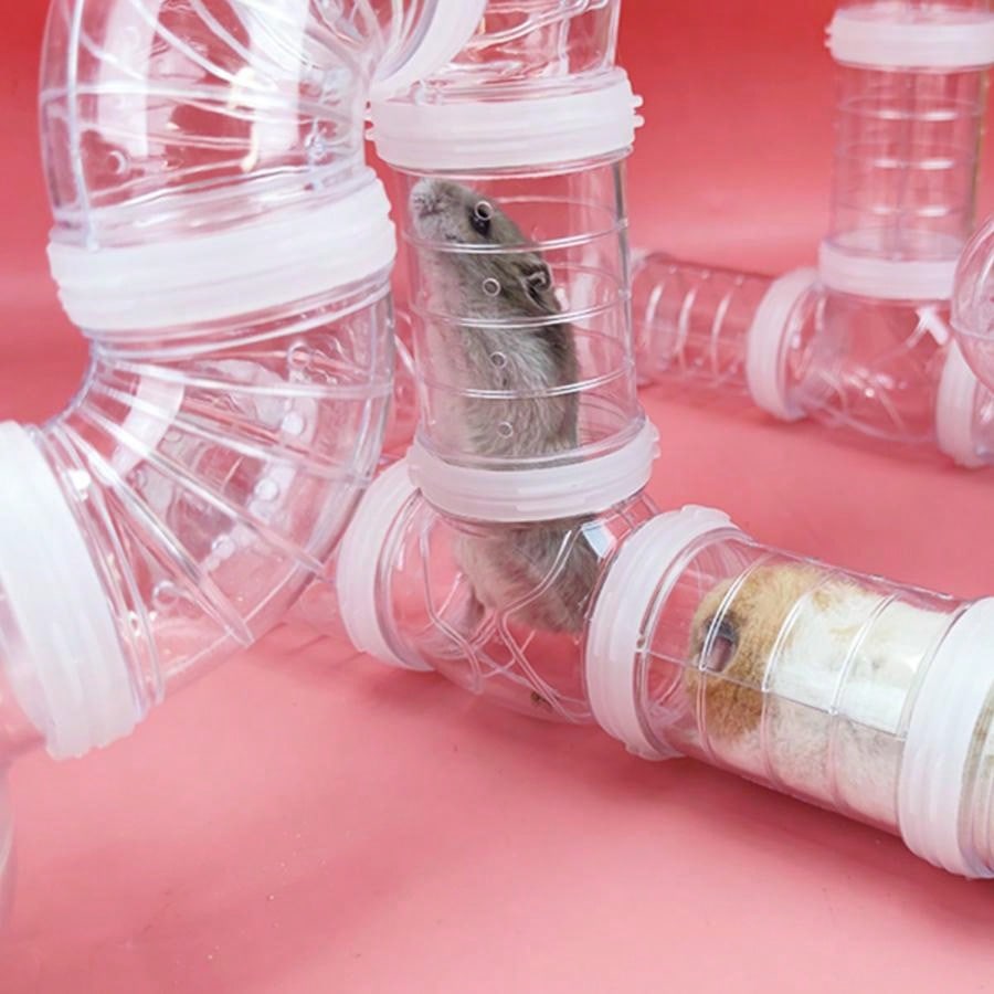 Hamster Pipeline, Golden Bear Tunnel, External Transparent Channel ...