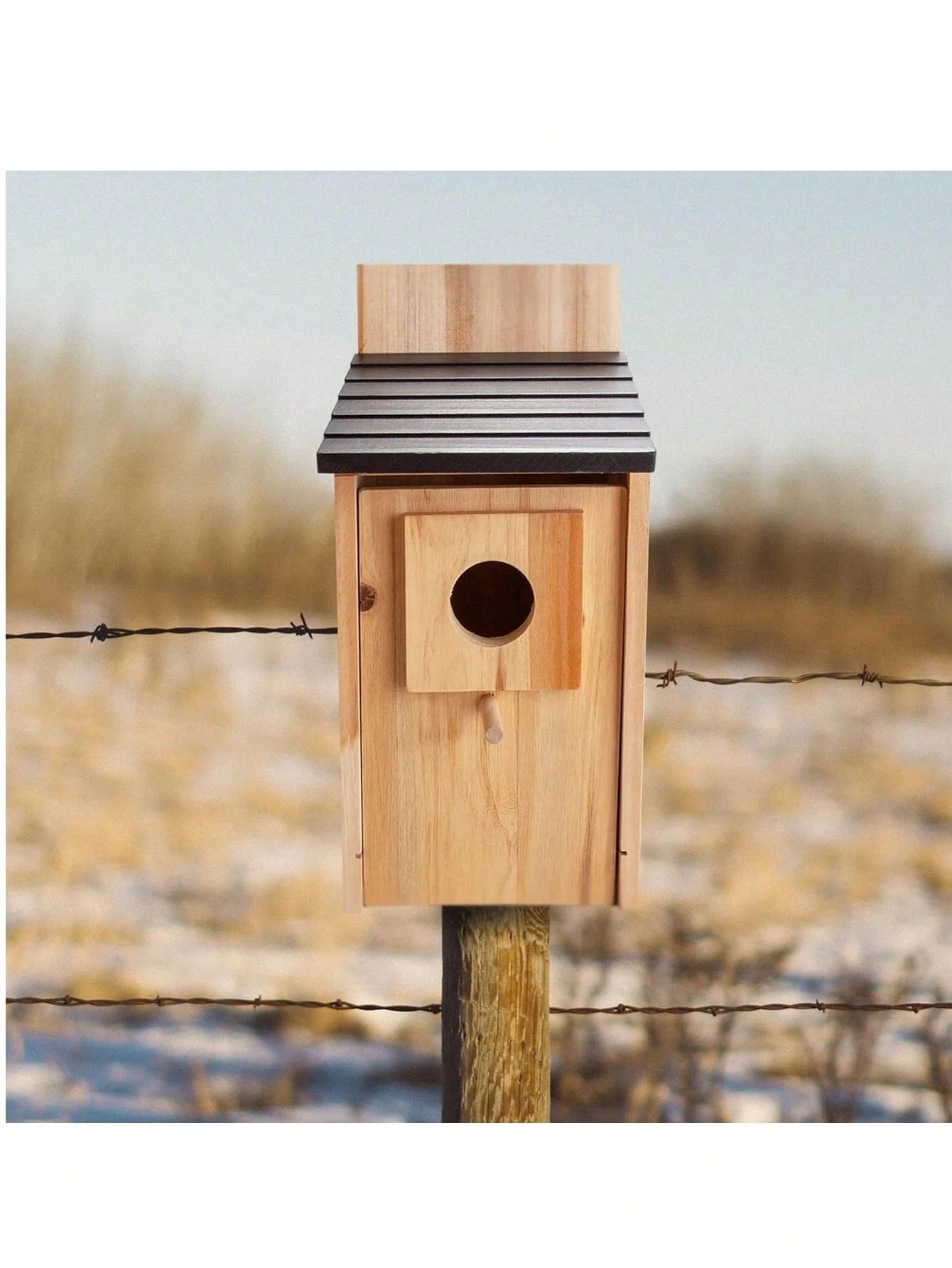 CARTMAN Cedar Blue Bird Box House, Wood Bird Houses For Outside ...