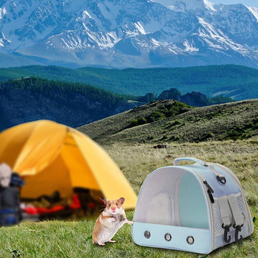 Guinea Pig Carrier, Bearded Dragon Lizard Portable Carrier Cage For ...