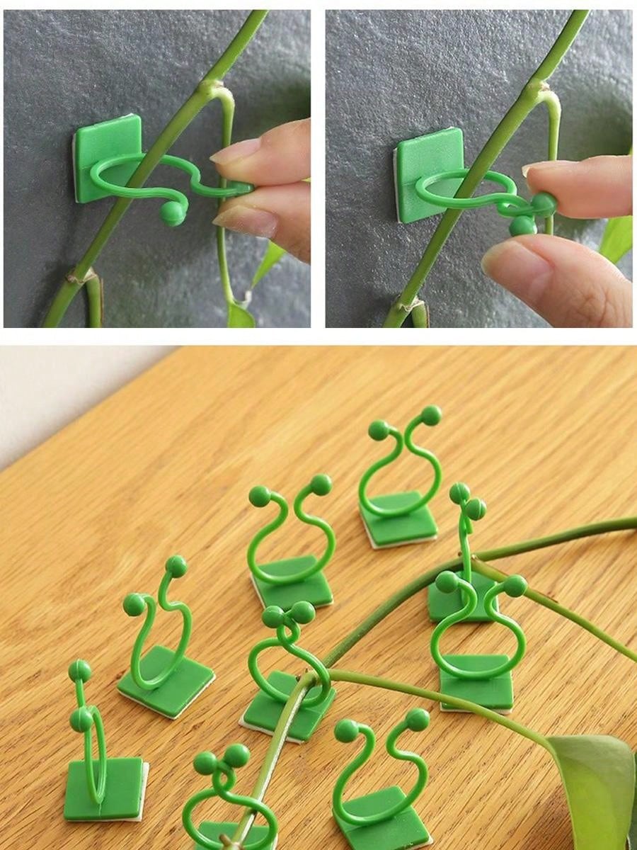 Groene plant Direct Liaan Plant Bevestigingsclip Ponsen Muur Klimmen Draad Vast Telescoop Hengel ...