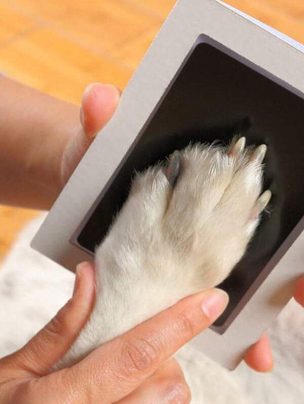 1pc Diy Pet Paw Print Inkless Stamp Pad With Random Pattern Style ...