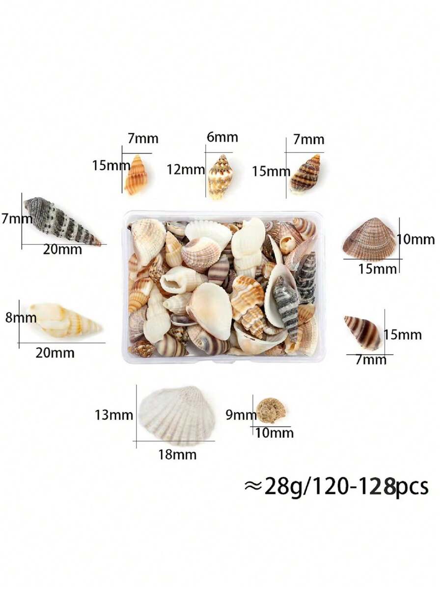 120-130pcs Beach Theme Seashells Decoration, Home Decor, Including ...