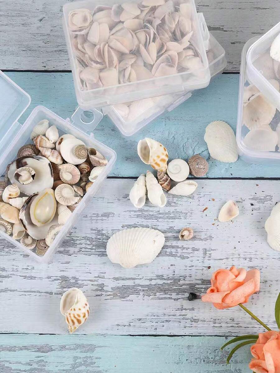 120-130pcs Beach Theme Seashells Decoration, Home Decor, Including ...