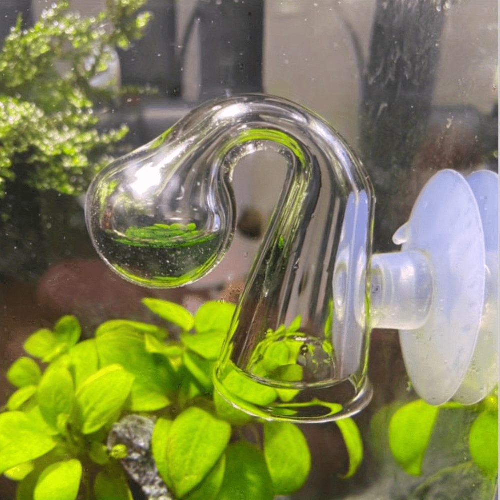 Aquarium Plant Co2 Monitor Glass Test Cup For Co2 Concentration ...