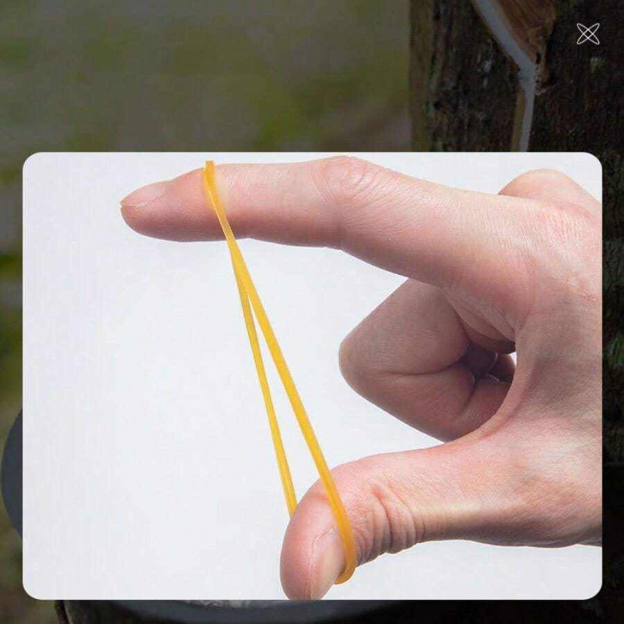 chenguang 30g Durable Latex Rings/Rubber Bands/Binders, High Elasticity ...