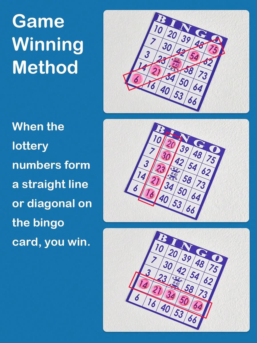 Bingo Cage Game, Lottery Raffle Gadget, Party Supplies To Liven Up The ...