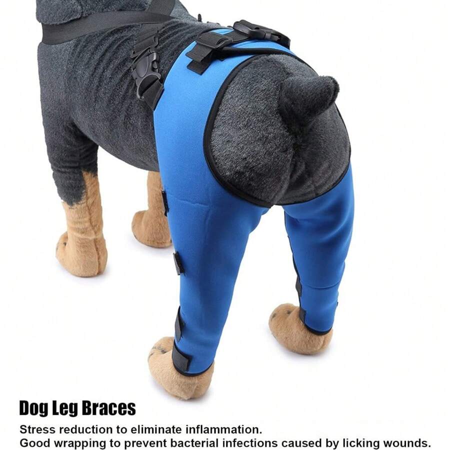1 Pair Dog Hind Leg Braces, Dog Rear Leg Hock Wraps Canine Elbow ...