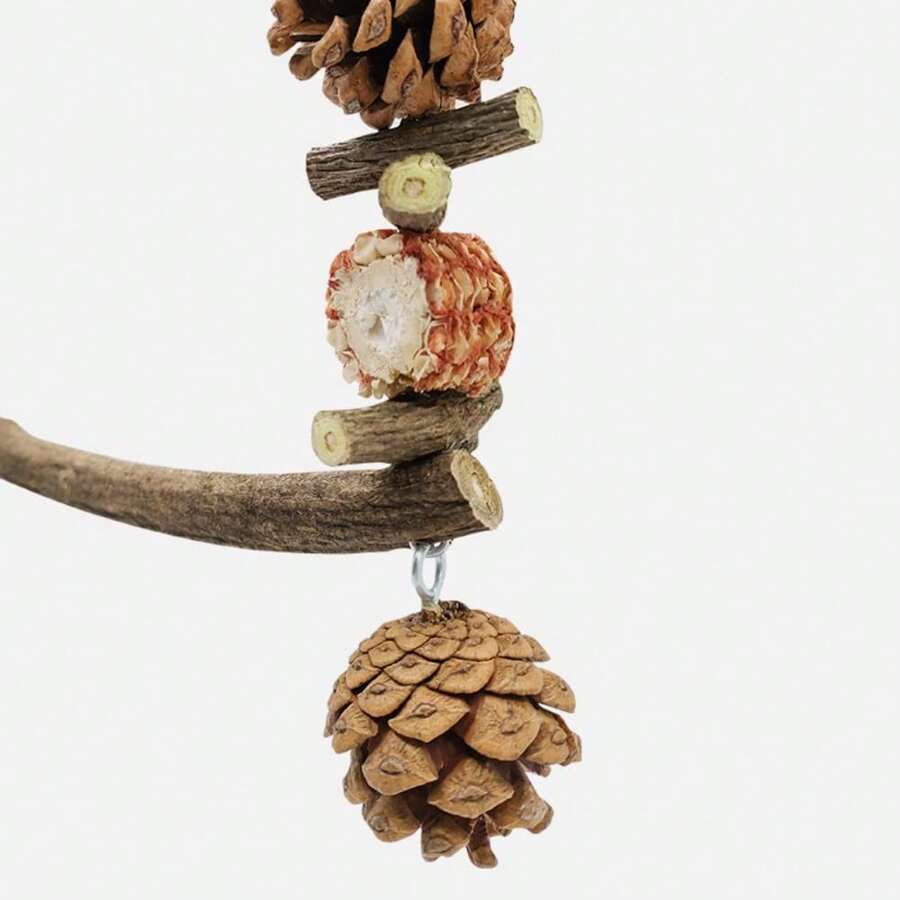 Pet Bird Swing, Parrot Cage Toys, Natural Wooden Swing Toys With ...