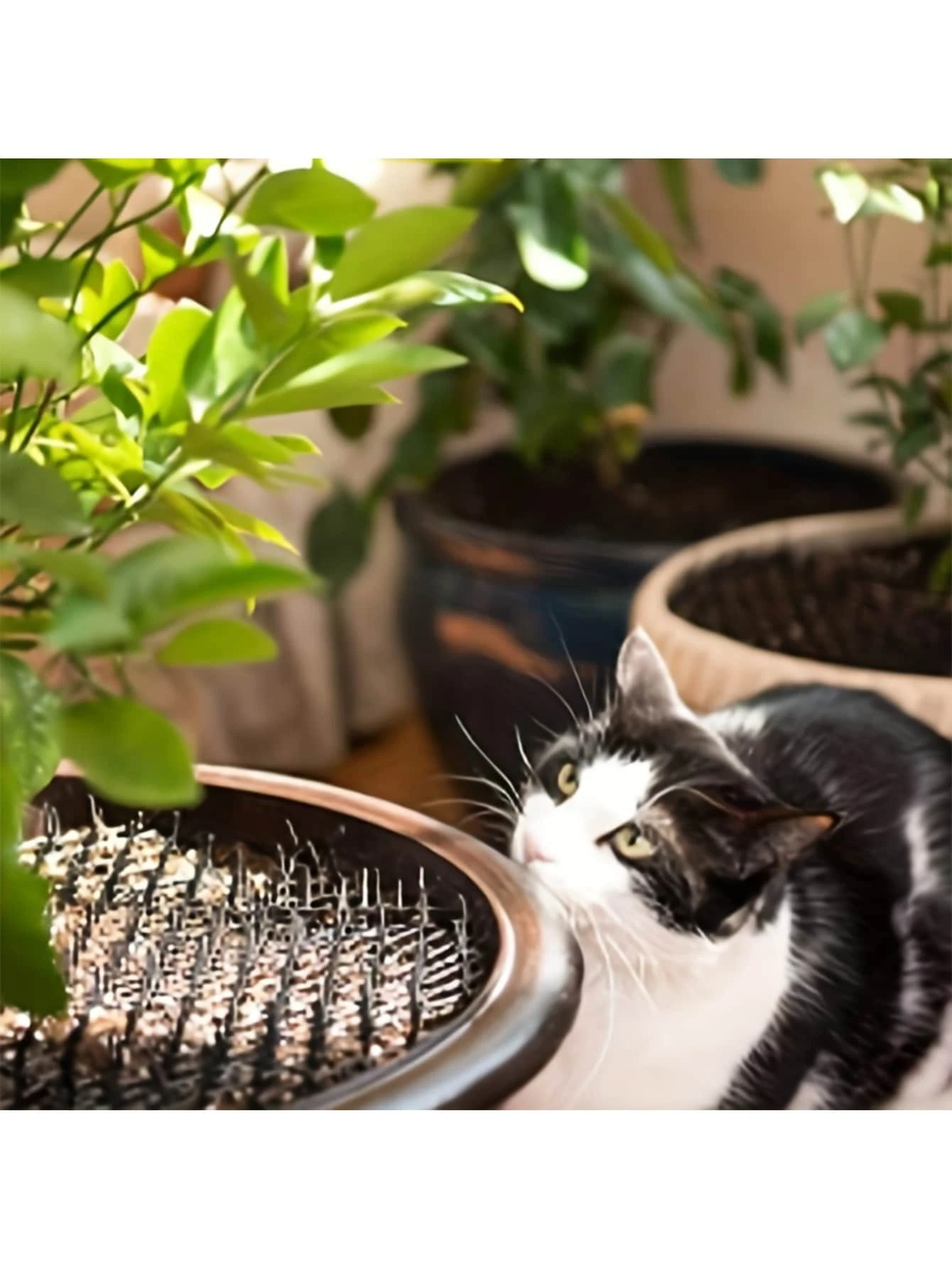 1pc Cat Scat Mat With Spikes, Prickle Strips Network Digging Stopper ...