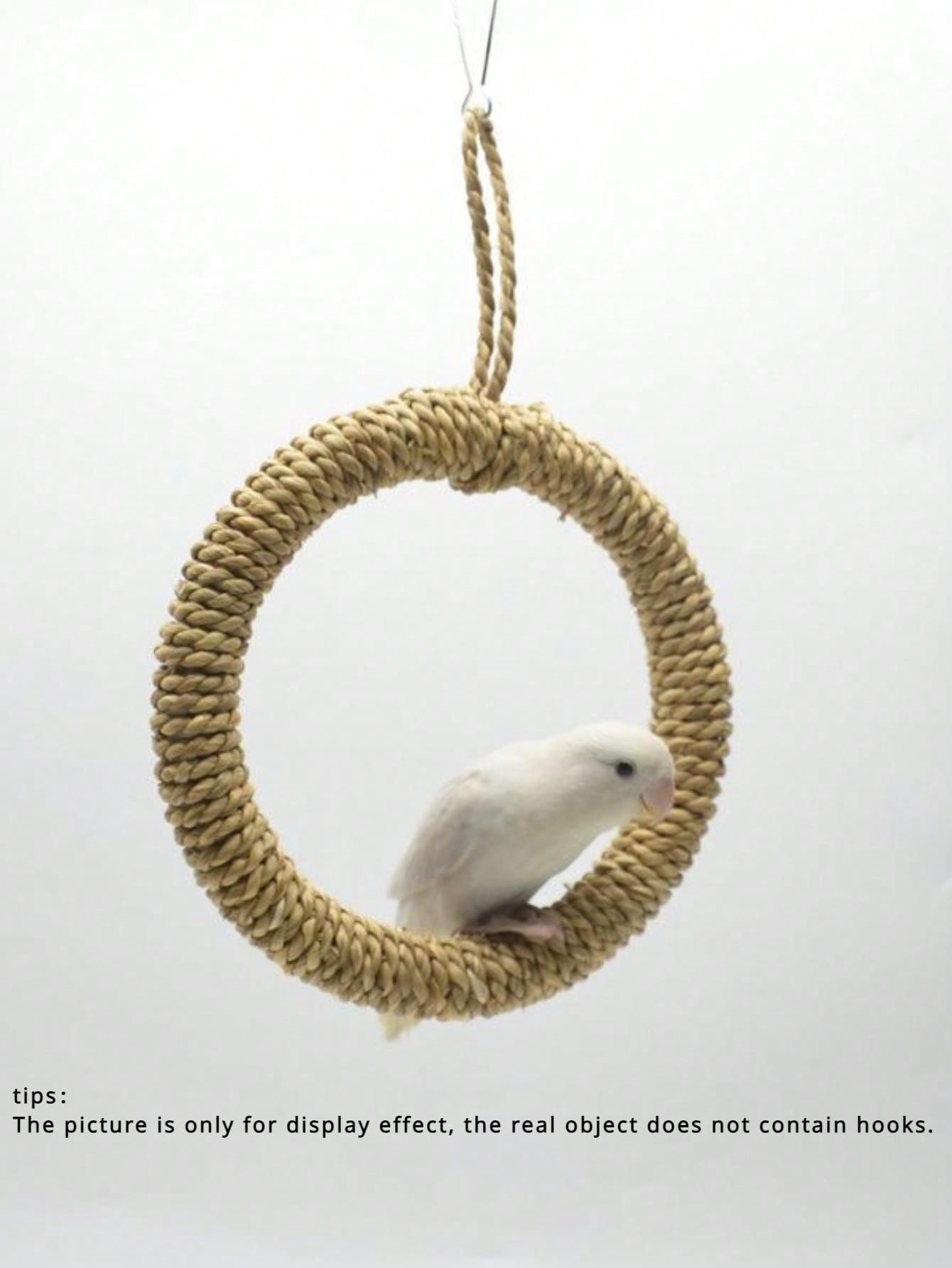 Parrot Rope Swing, Bird Toys Can Be Used As A Fun And Training Tool For ...