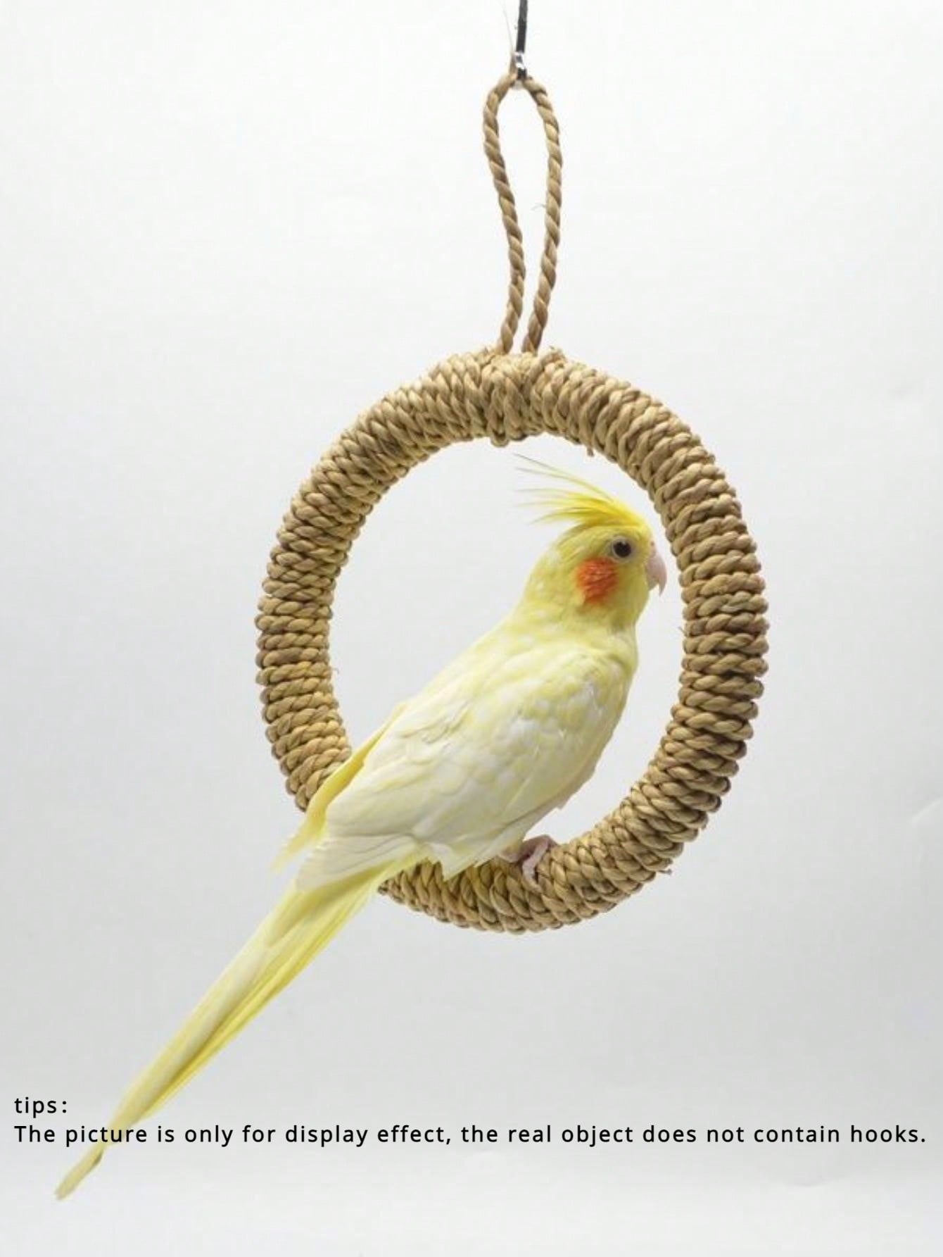 Parrot Rope Swing, Bird Toys Can Be Used As A Fun And Training Tool For ...