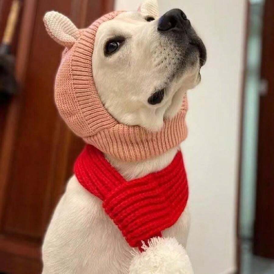 Quiet Dog Ear Muffs Noise Protection Pet Ears Covers Knitted Hat ...