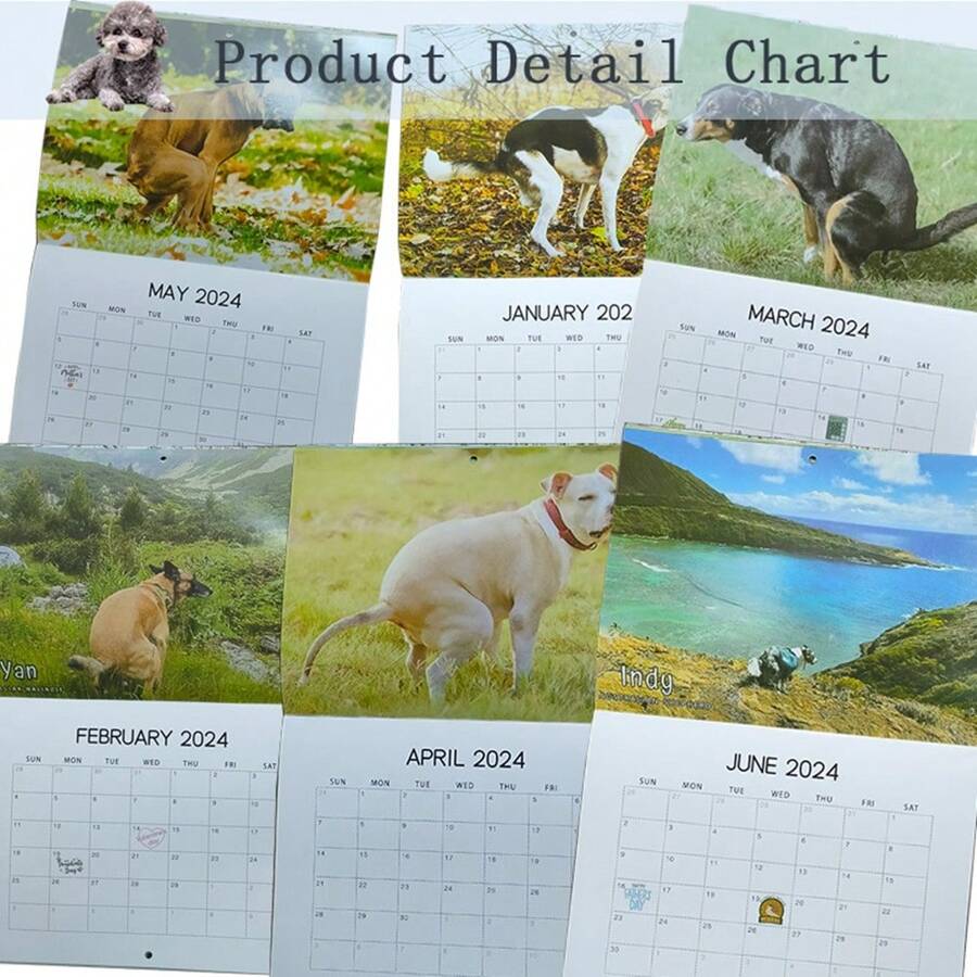 1pc 2024 Cute And Funny Dog Poop Calendar, Hanging Style Dogs Picture ...