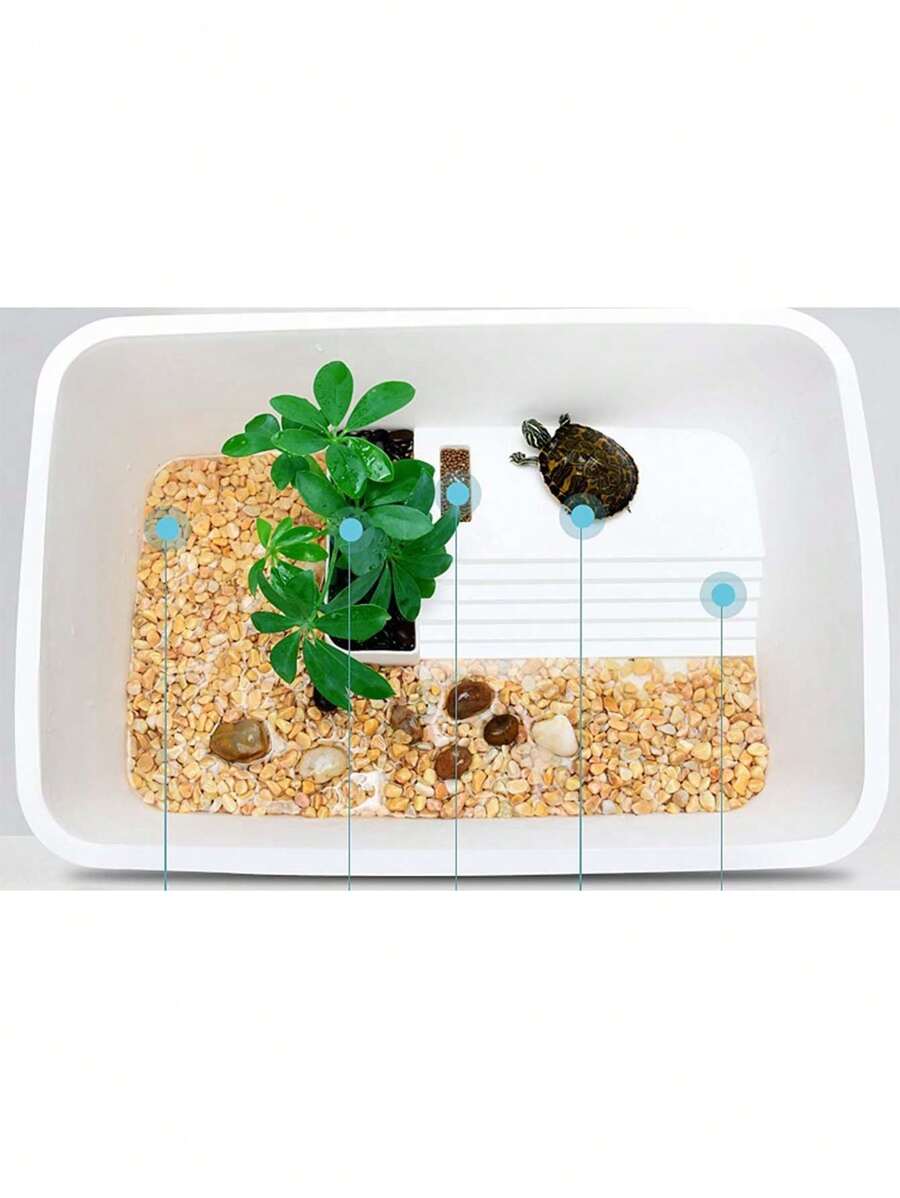 New Product Turtle Basin, With Sunbathing Platform And Brazilian Turtle ...