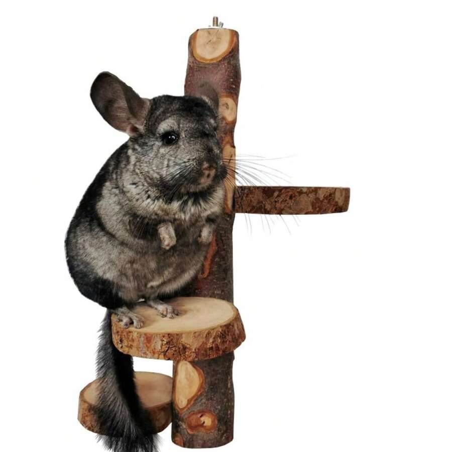 Chinchilla Large Hanging Wooden Rotating Platform - Small Animals ...