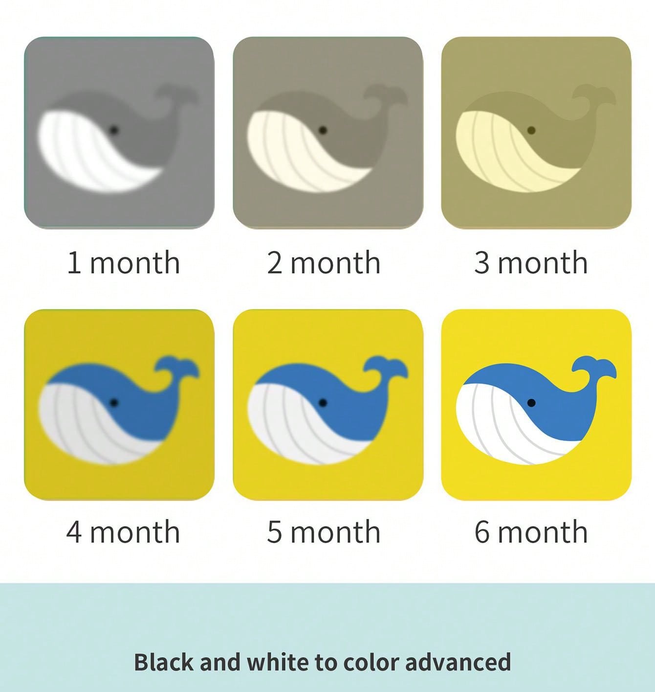 0-36 Months Black And White Flash Card Early Learning Visual ...