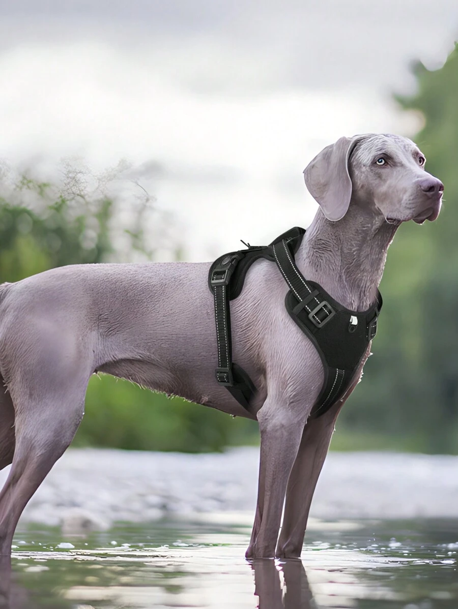 Big Dog Tactical Harness S-XL Fits All Breeds In Four Sizes Five Colors ...