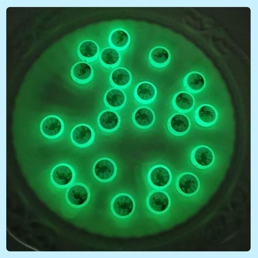 30pcs Resin Luminous Mixed Images Platic Beads For Christian Catholic ...