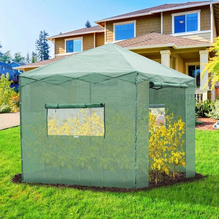 Private Jungle Outdoor Greenhouse With Observation Windows, 8*6ft ...