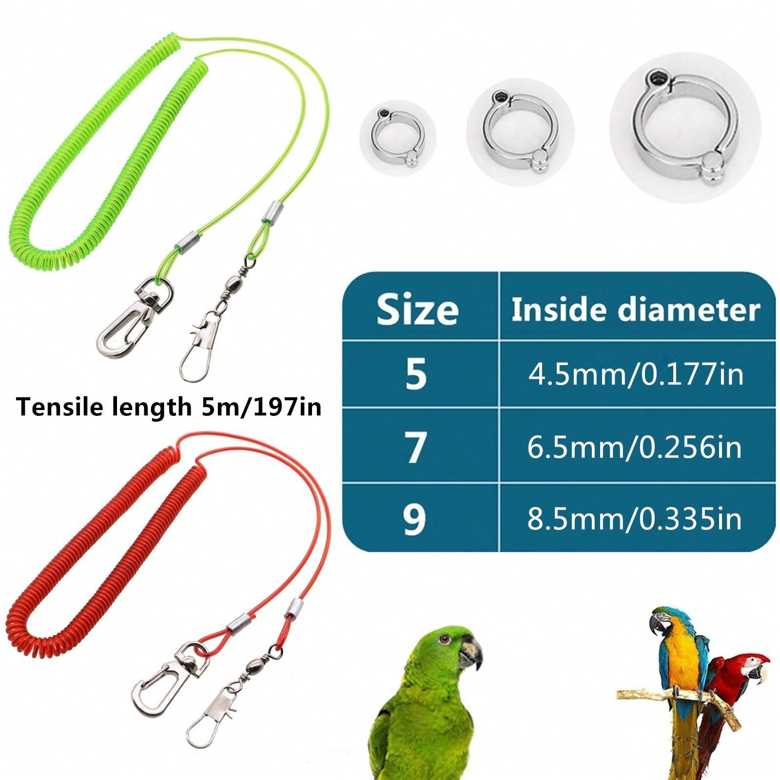 Parrot Flying Rope, Bird Leash, 5 M Parrot Foot Chain, Bird Flight ...