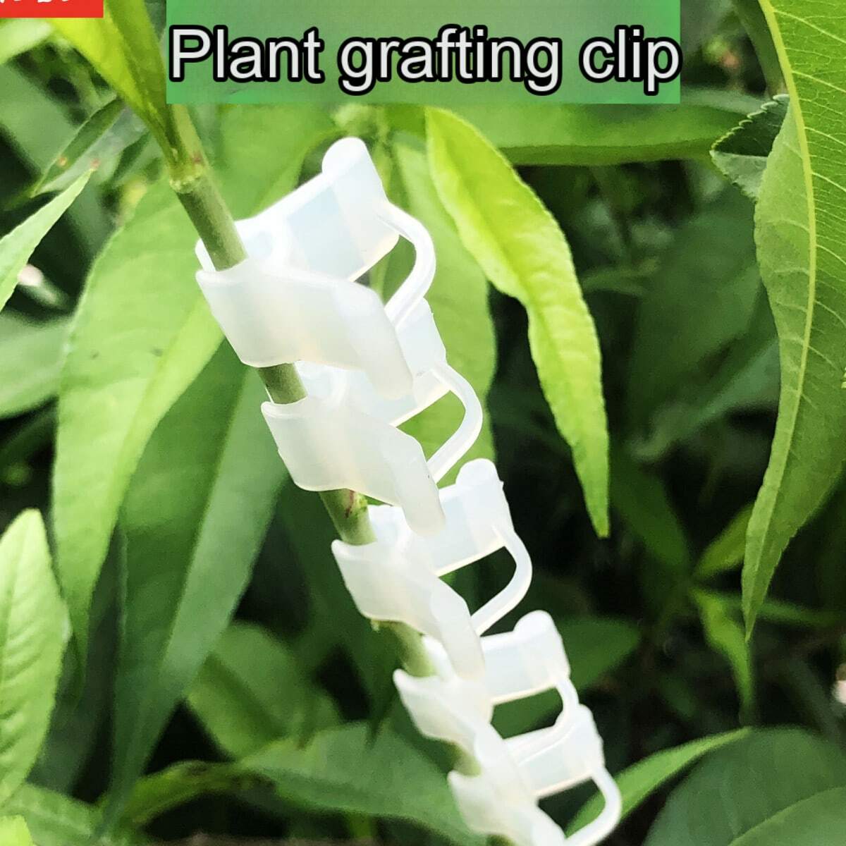 20 pièces Clips de greffage de jardinage, clips de greffage de plante en matériau souple ...