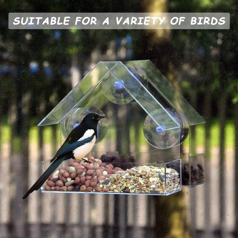 Window Bird Feeder Clear Acrylic Hanging Bird Feeder House With Extra ...