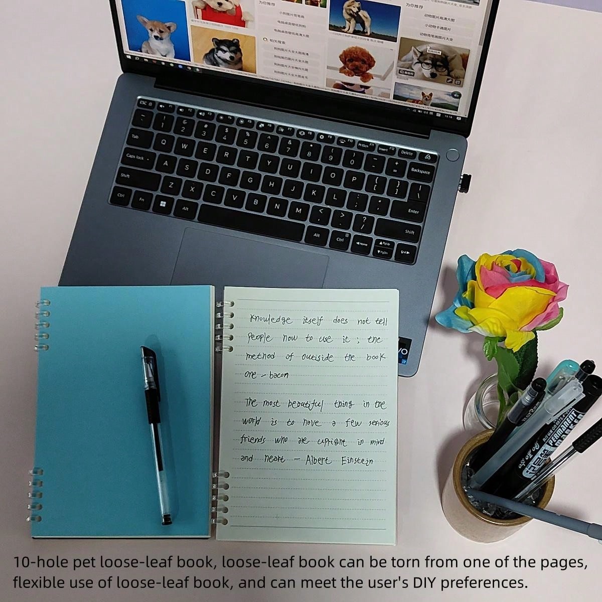 10-Hole Loose-Leaf Notebook That Doesn't Hurt Your Hands, With High Appearance Value, Portable ...
