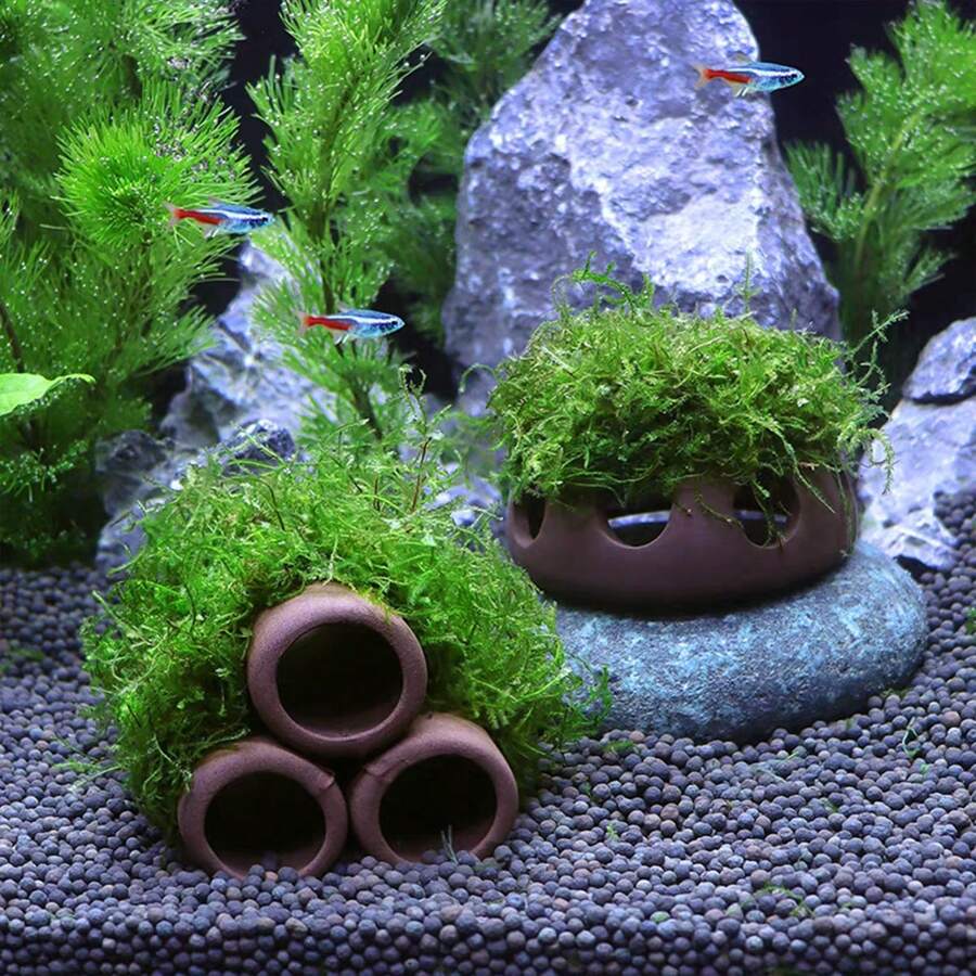 Aquarium Purple Clay Ceramic Fish & Shrimp Habitat, Hideout House ...