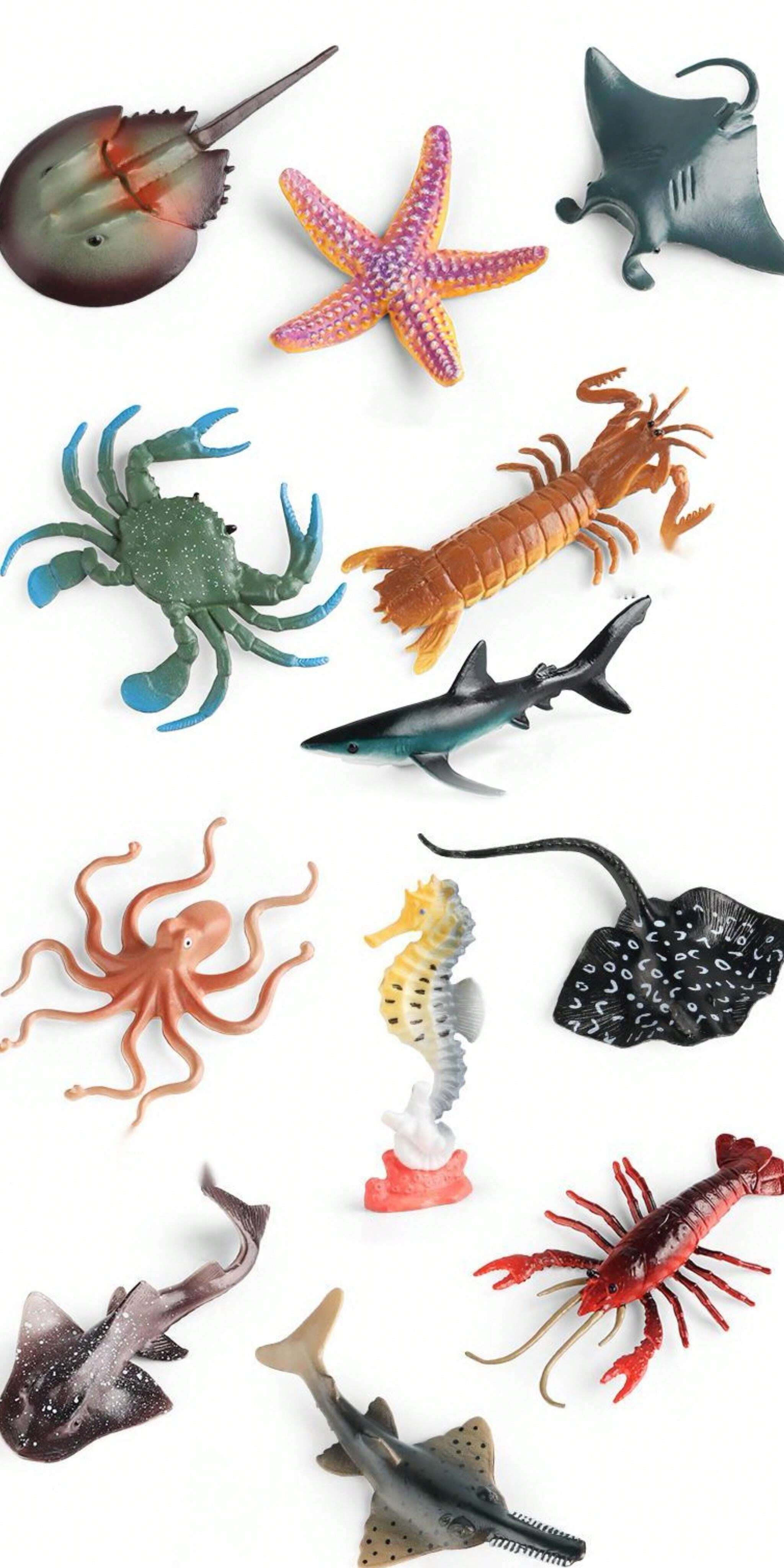 12pcs Medium-Size Ocean Animal Models - Shrimp, Seahorse, Octopus ...