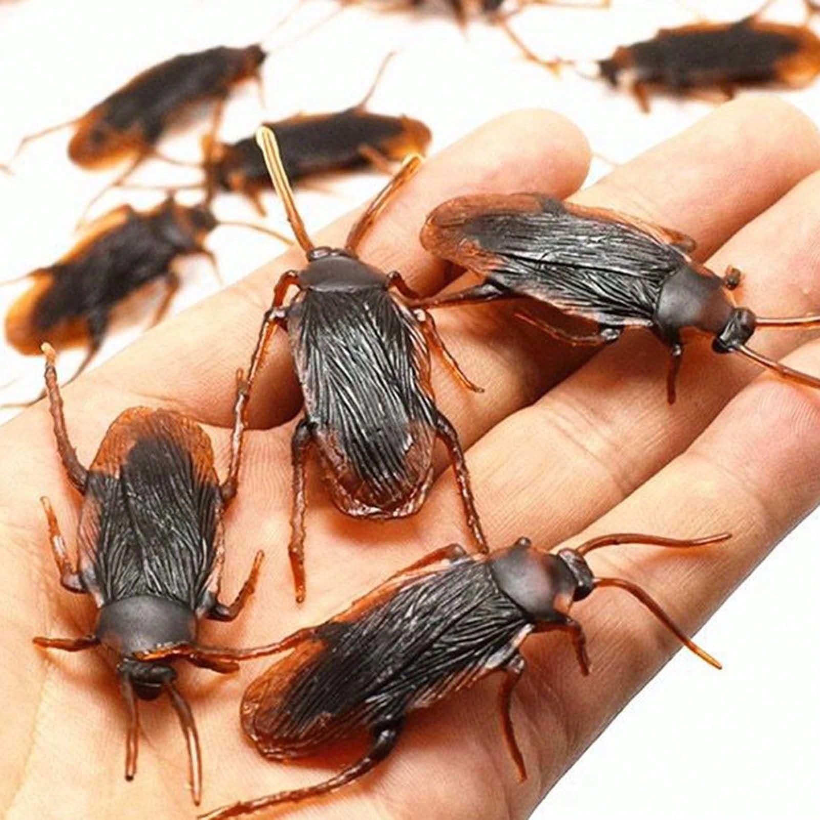 20 Pcs April Fool's Day Simulation Cockroach Realistic Cockroach Trick ...