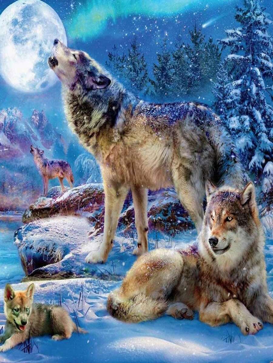 Paint By Numbers | Wolves Moon | SHEIN USA