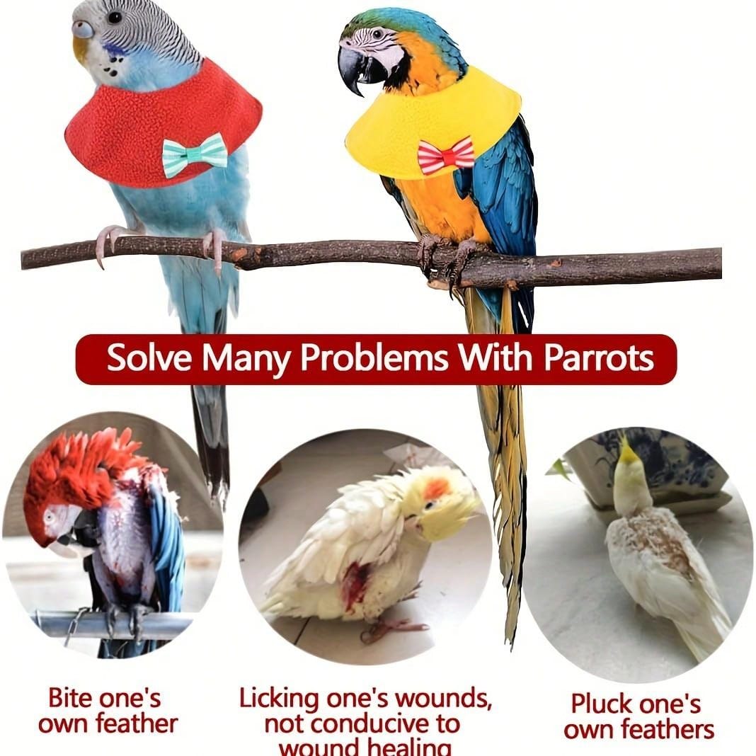 Adjustable Bird Parrot Cone Collar, Bird Anti-Bite & Recovery Collar ...