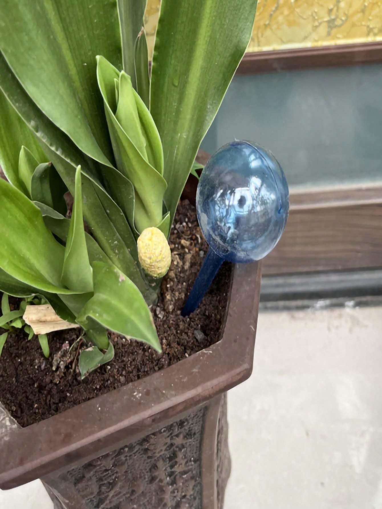 10st Blauw Automatisch Plant Bollen Zelf watering Wereldbol Ballen ...