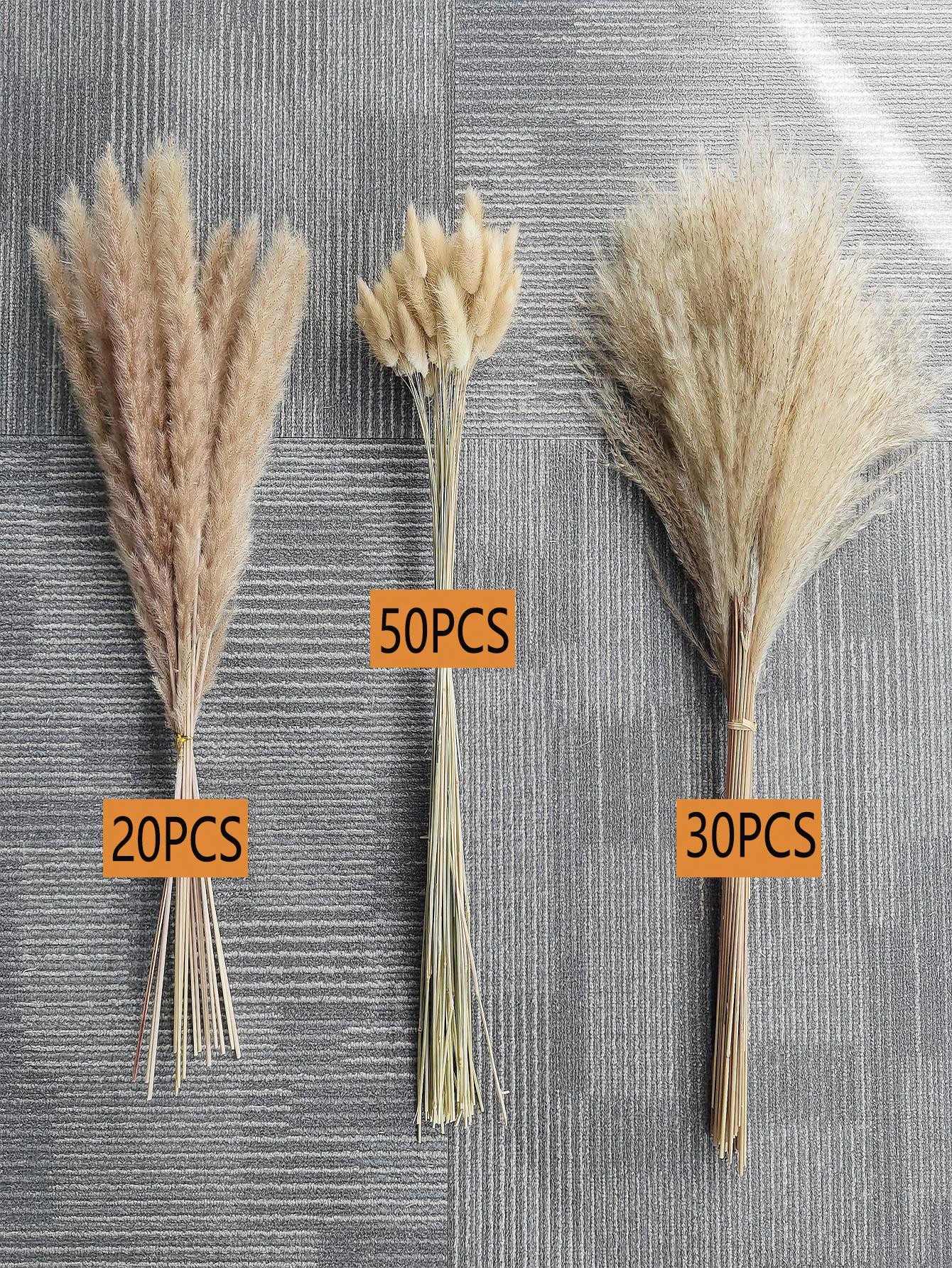 100pcs Bohemian Style Pampas Grass, Bulrush, Reed, Rabbit Tail Grass ...