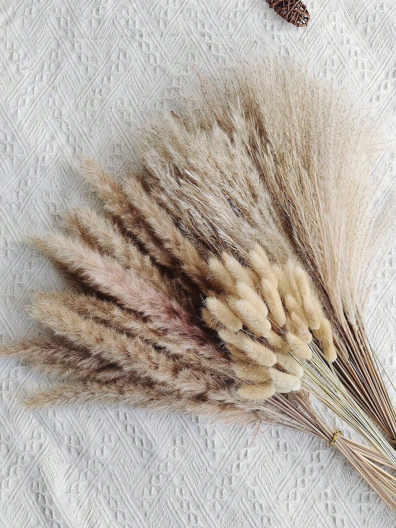100pcs Bohemian Style Pampas Grass, Bulrush, Reed, Rabbit Tail Grass ...