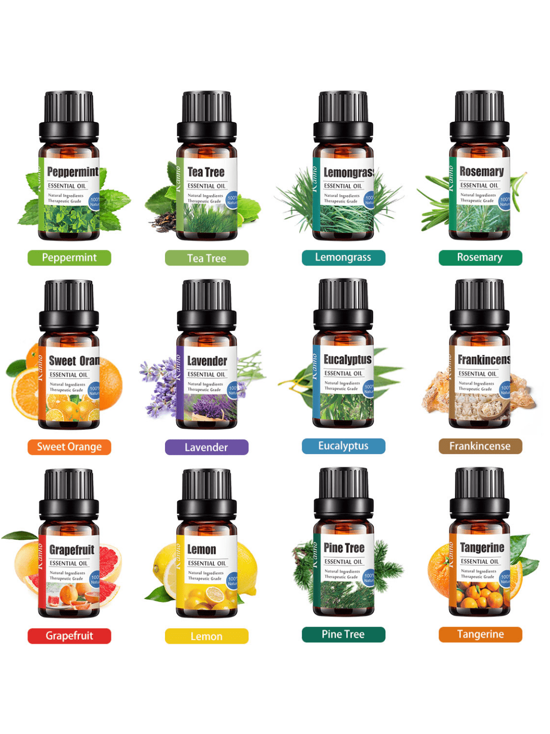 KANHO Aromatherapy Essential Oil Set 10ml*12pc Rosemary Pine Tree ...