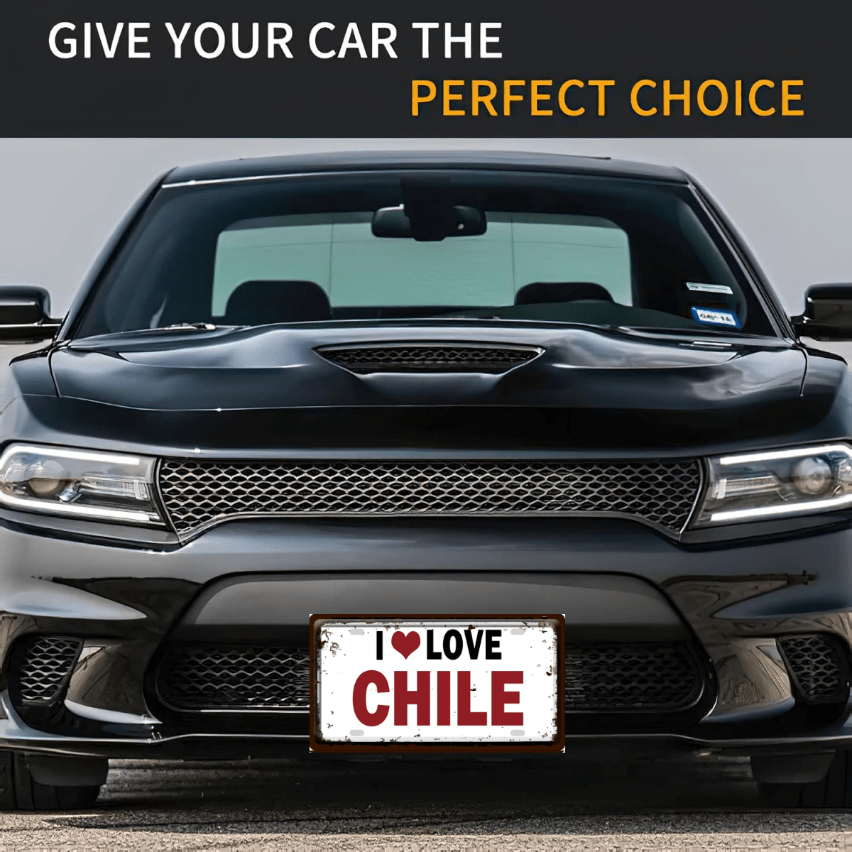 1 Placa De Lata De Metal Vintage 'i Love Chile' Placa De Licença De ...
