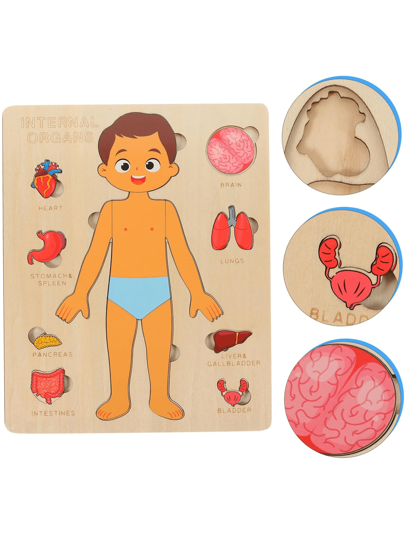 1 Set Jigsaw Puzzle Of Human Structure Human Parts Toy Organ Model Toy ...