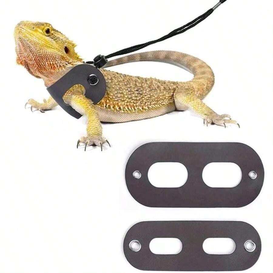 Lizard Leash & Harness Set, Reptile Lead For Walking & Training | SHEIN EUR